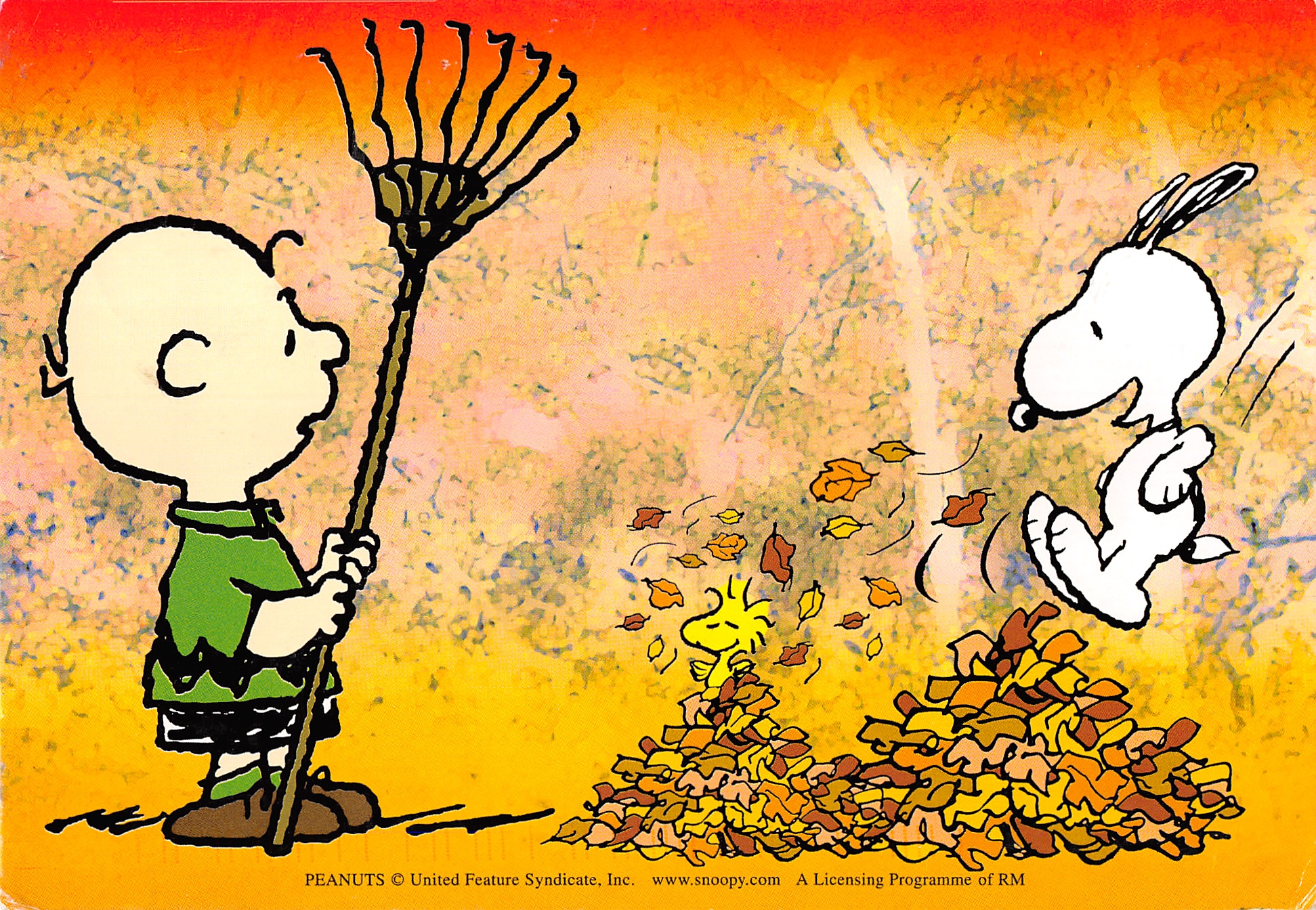 MY PEANUTS GANG AND SNOOPY POSTCARD COLLECTION