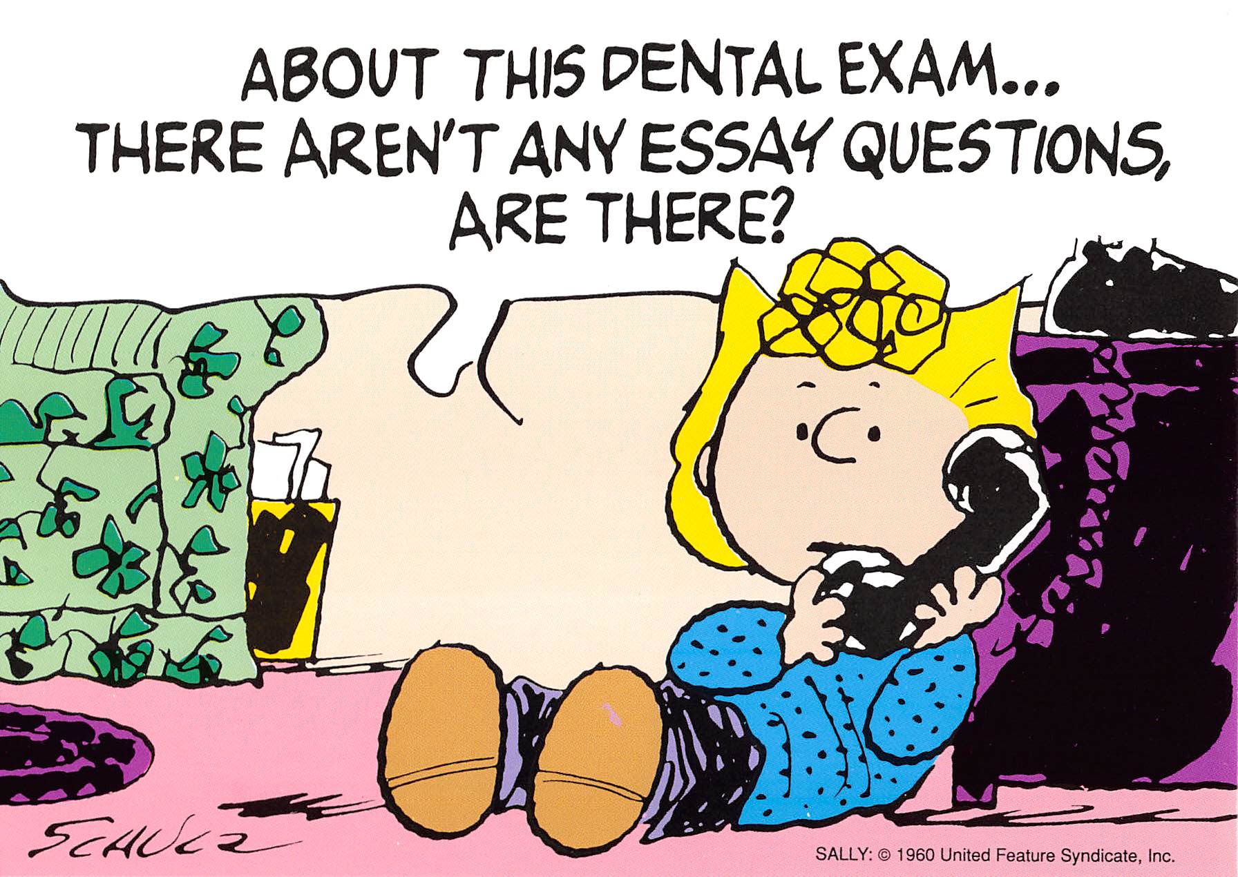 MY PEANUTS GANG AND SNOOPY POSTCARD COLLECTION