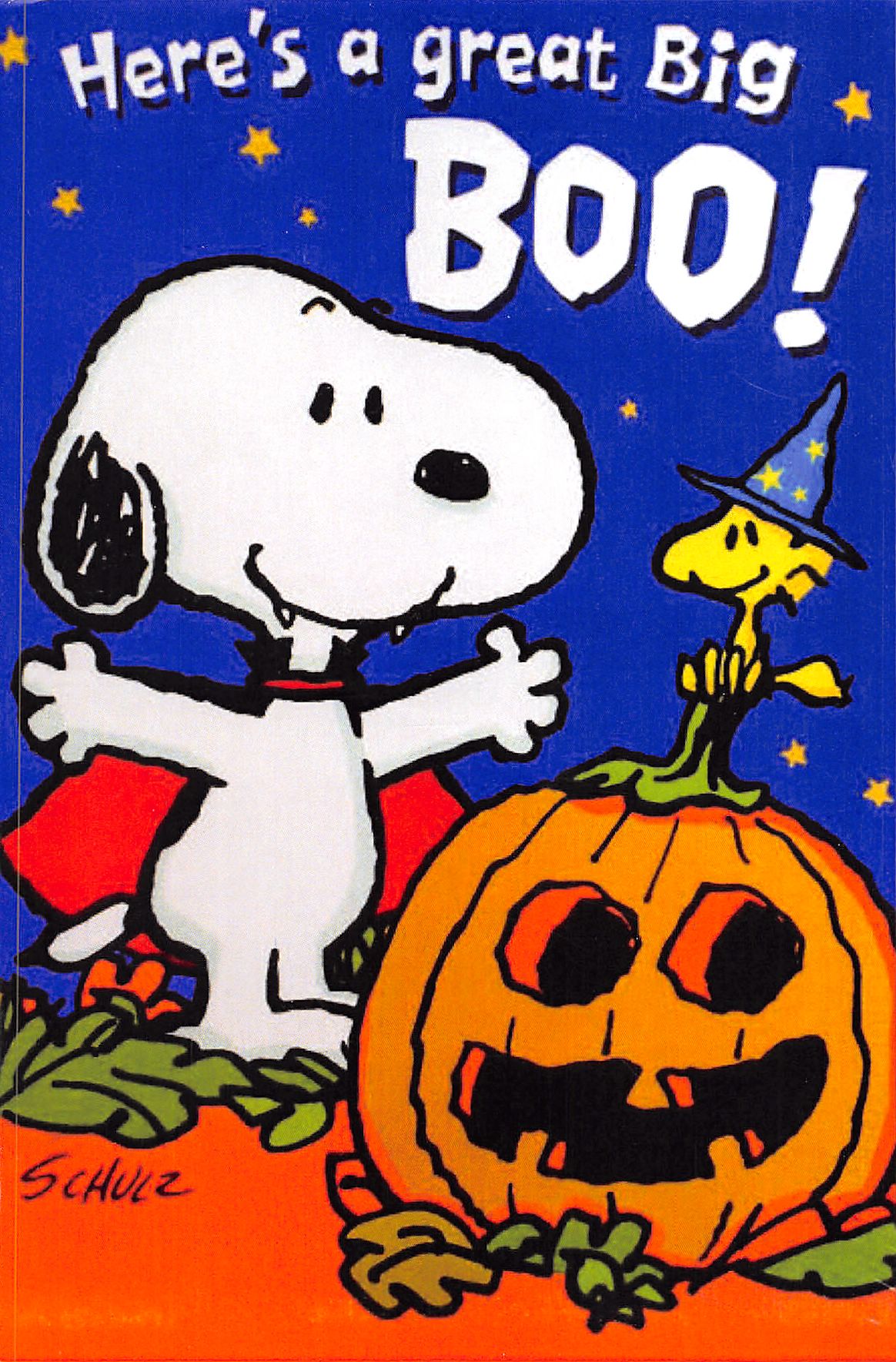 MY PEANUTS GANG AND SNOOPY POSTCARD COLLECTION – Page 3