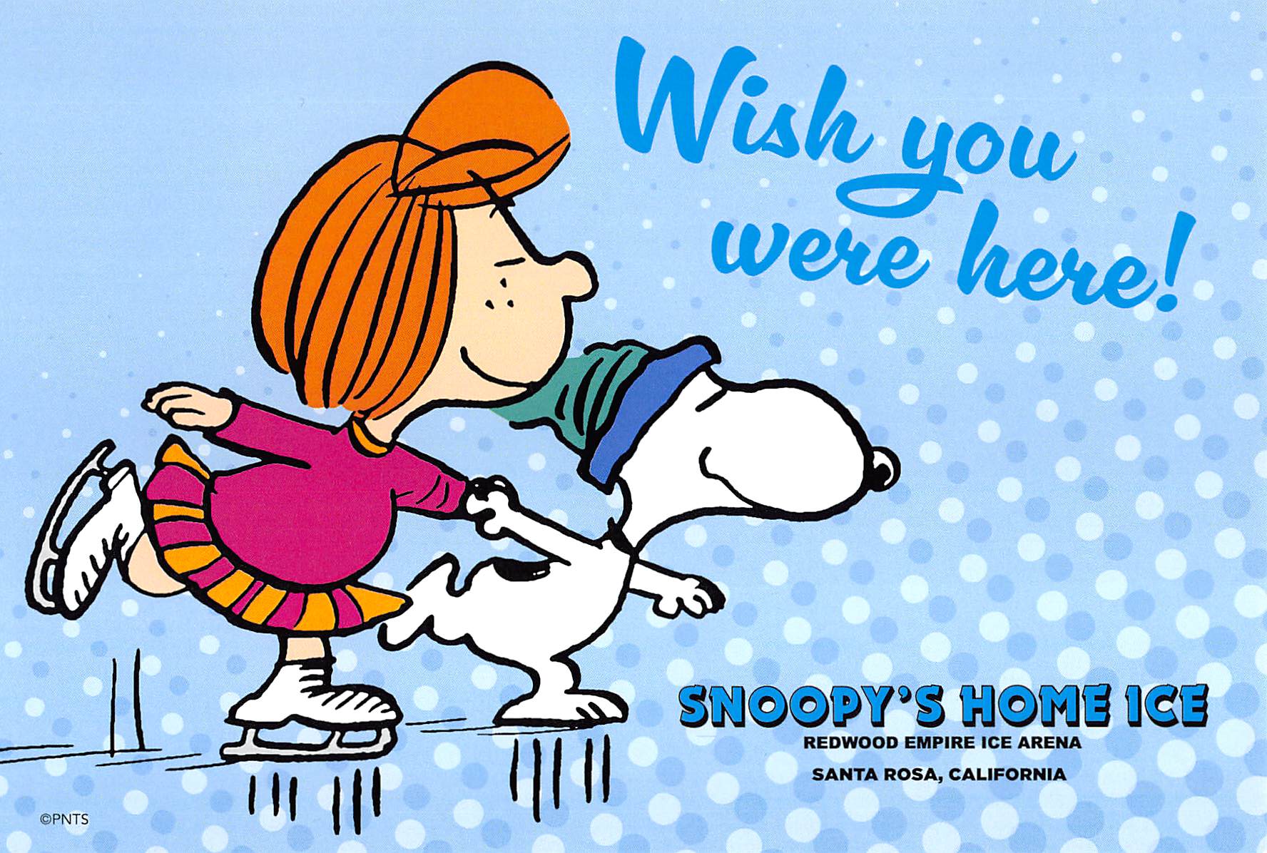 USA – Schulz Campus – MY PEANUTS GANG AND SNOOPY POSTCARD COLLECTION